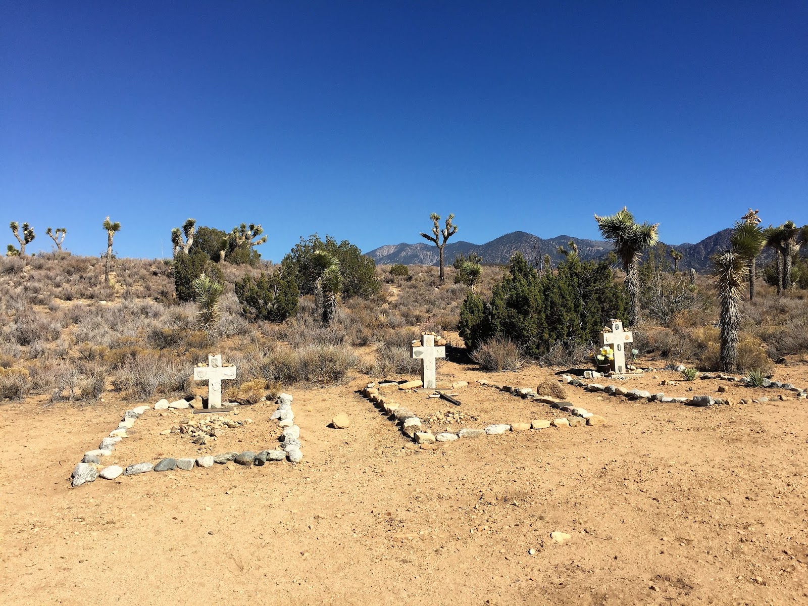 Souvenir Chronicles: VALYERMO, CALIFORNIA: ST. ANDREW'S ABBEY AND A ...