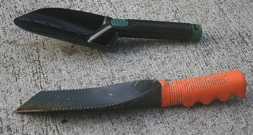 The Treasure Beaches Report Direct From Florida's Treasure Coast.: 2/22 ...