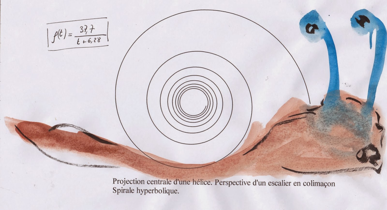 le blog du professeur Ducroque: Lituus,escalier et spirale