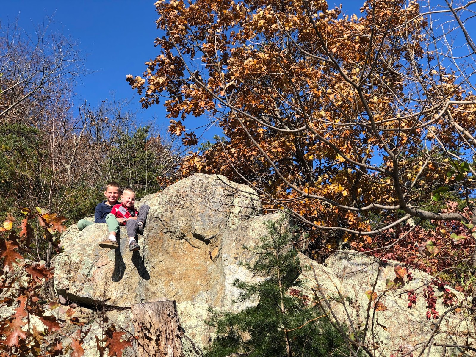 Finlay Family Fun: 2018