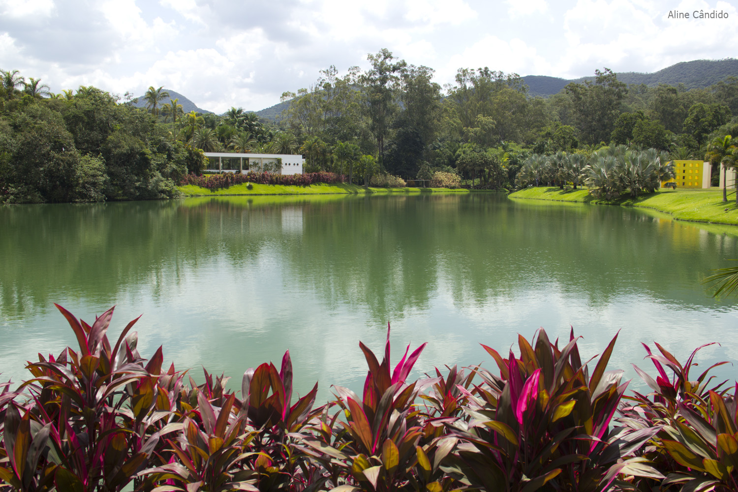 Essa viagem: A loucura de Inhotim - MG