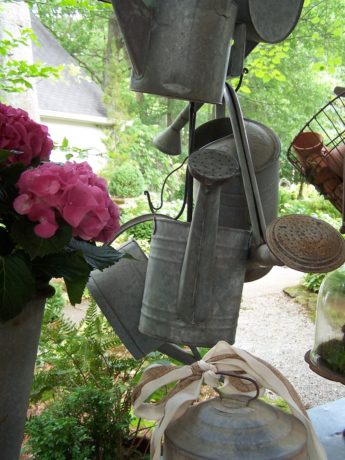 TARA DILLARD: Hanging Hydrangea