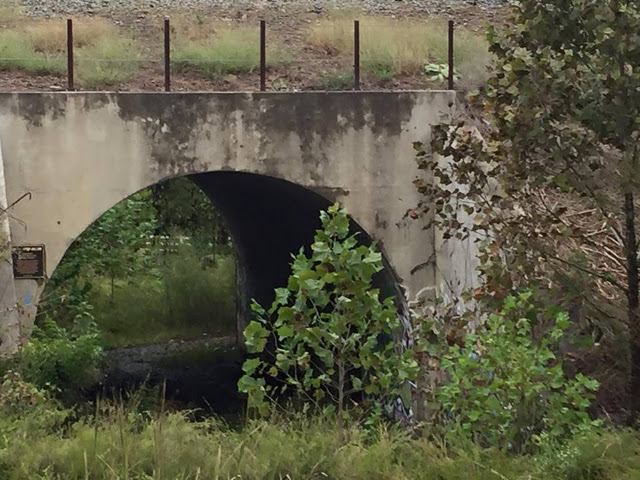 Mike's Paranormal Blog: Visit to Lydia's Bridge