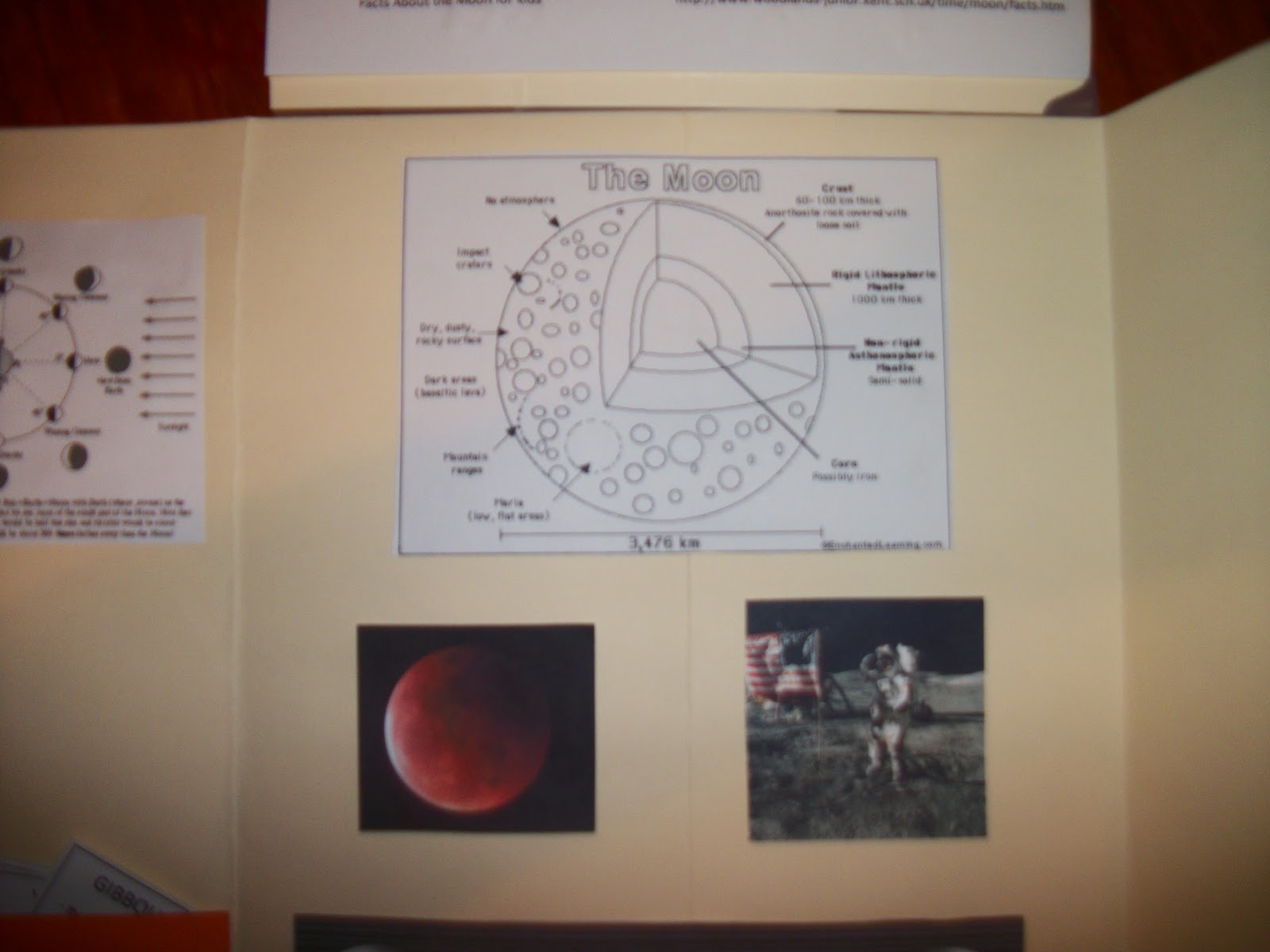 Back to Square One: Lapbooks: One of the GREATEST Homeschooling Tools ...