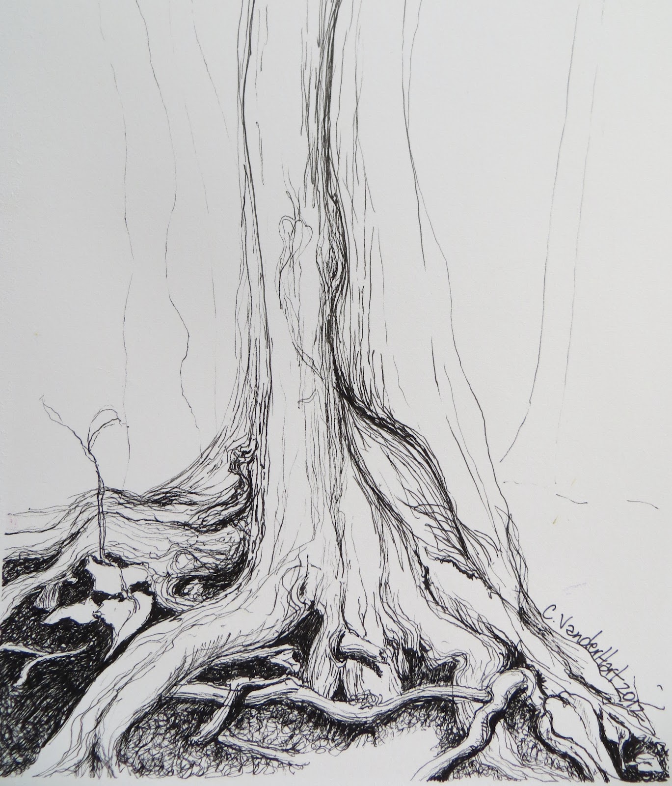 Pin by Ursa Minor on Trees in art (pencil, charcoal, etchings etc ...