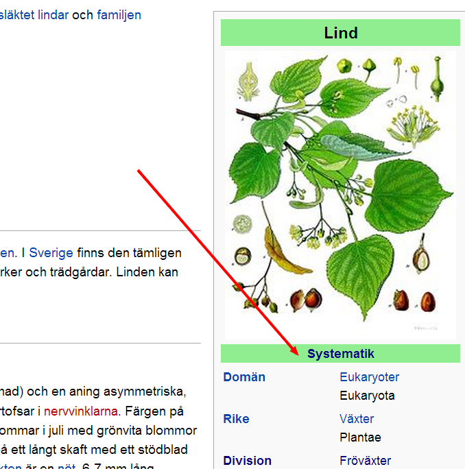 Anteckningar från studier och undervisning i biologi, kemi ...