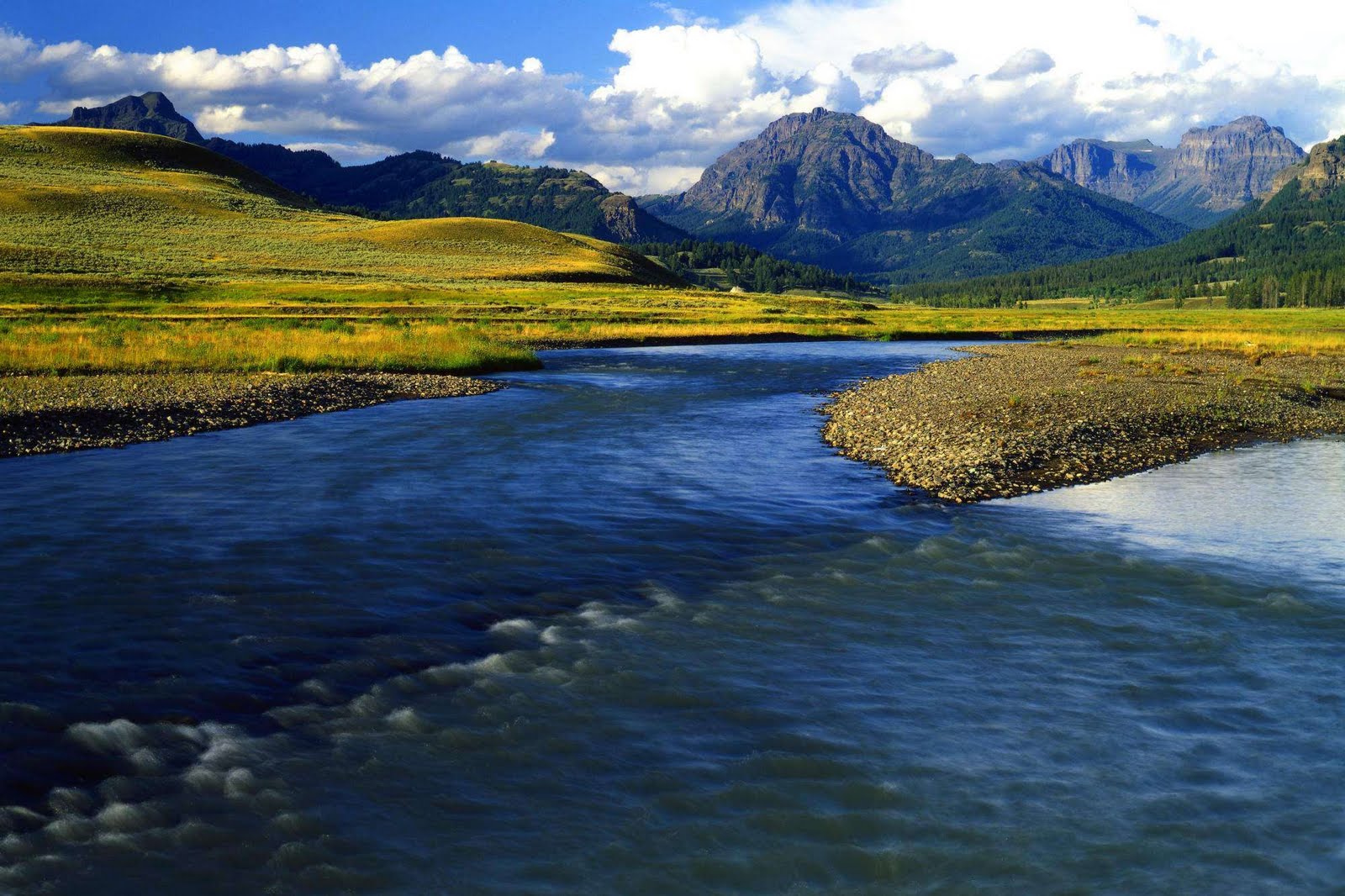 LARRY'S RAMBLE: Yellowstone National Park, Lamar Valley....