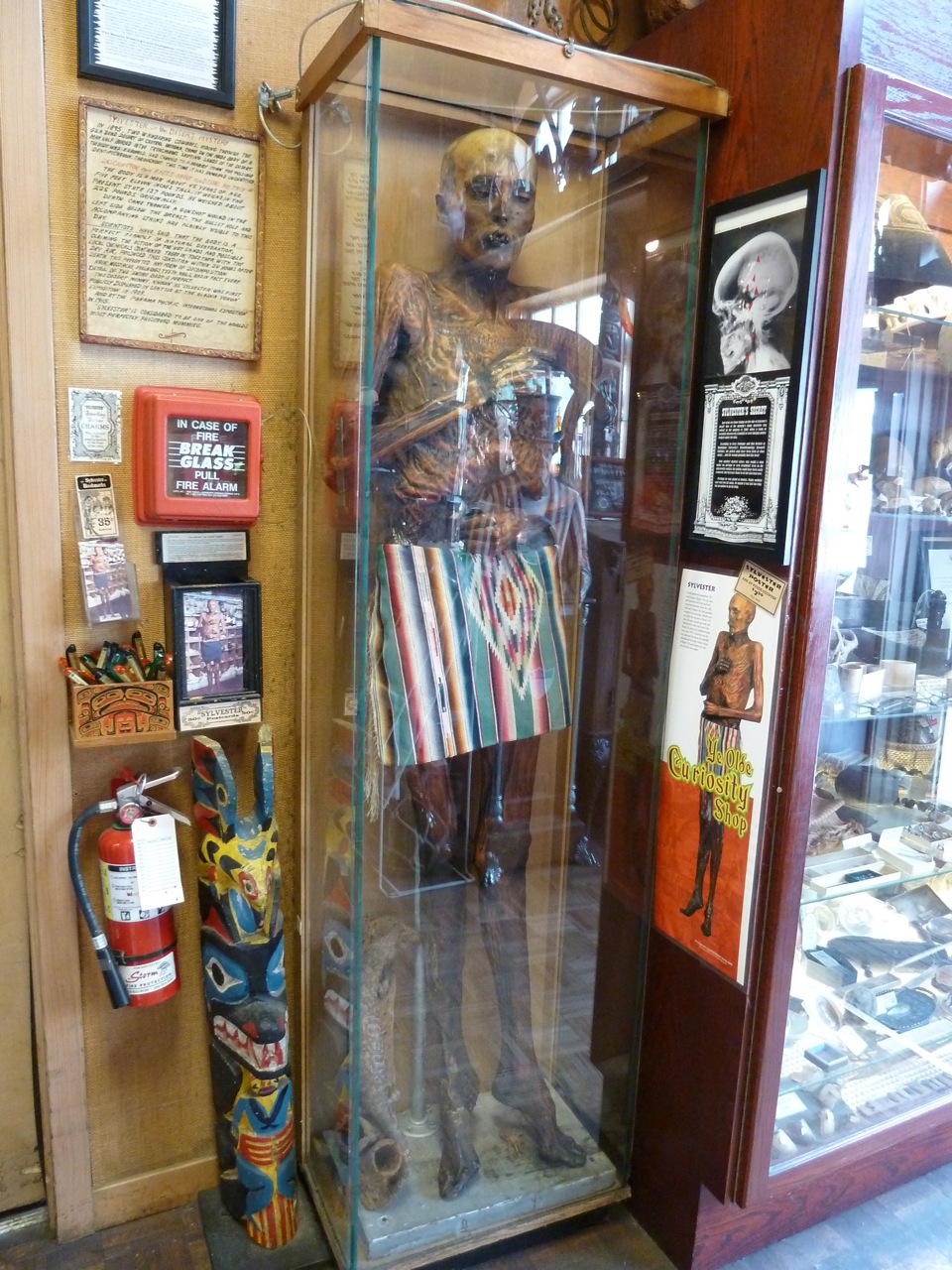 Traveling with Dr. M: Duwamps (Seattle)