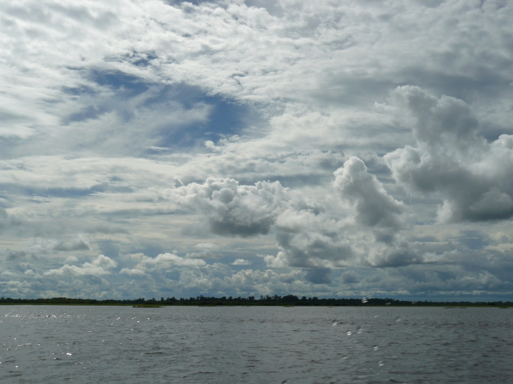 Mahakam-View: Natural impressions of the Mahakam river in east Kalimantan