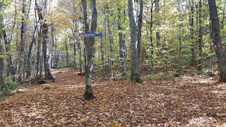 Les montagnes au Québec: Montagne Grise et La Tête Blanche