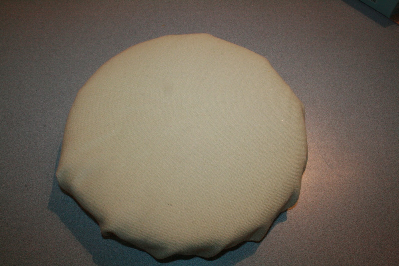 Sliter Family Stories - Our Family of Four Fun!: Rapunzel Bow Holder