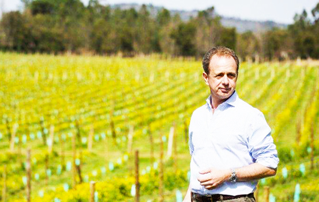 Exclusivo: Fernando Guedes, CEO da Sogrape, explica por que sua empresa ...