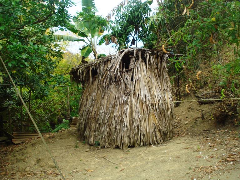 LA ESQUINA DE PANCHO PEREZ.: QUIEN QUIERES USAR ESTA LETRINA??????