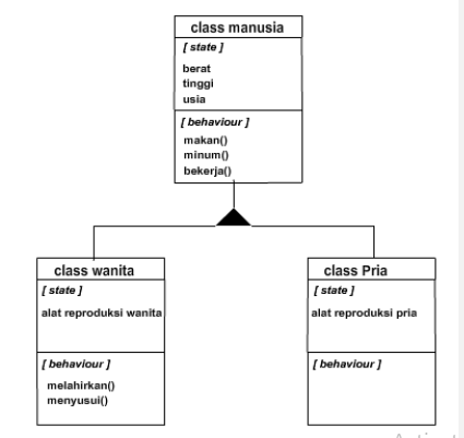 Sofy's Blog: Resume Praktikum PBO Modul 4 (Inheritance dan Polimorfisme)