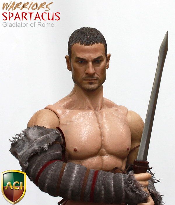 toyhaven: ACI Toys 1/6 scale Gladiator of Rome 2: Spartacus 12-inch ...