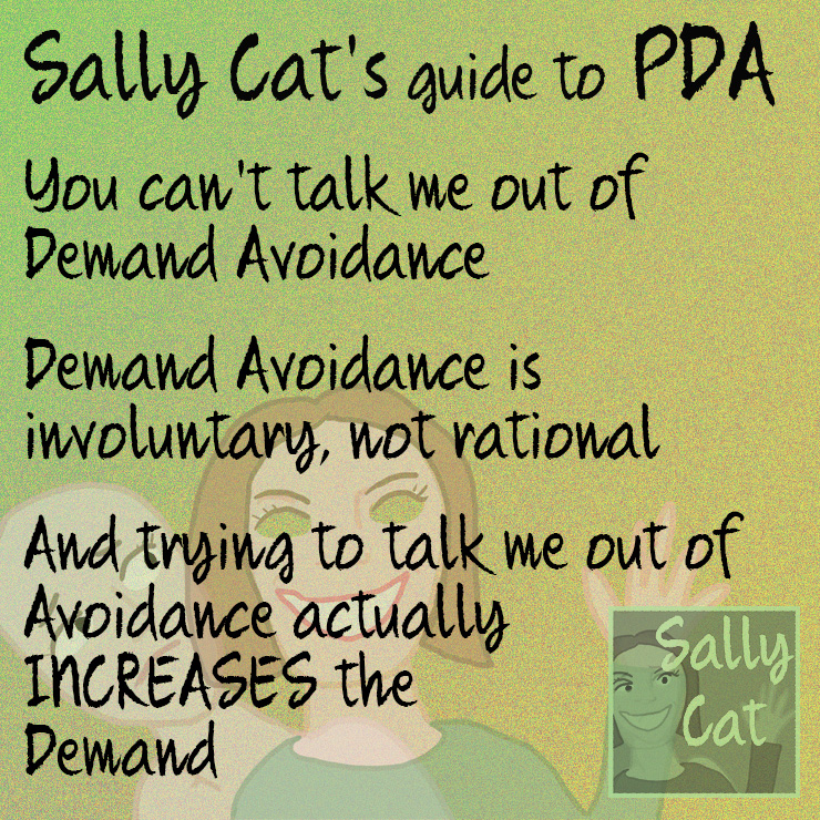 Sally Cat PDA: Memes About Demand Avoidance