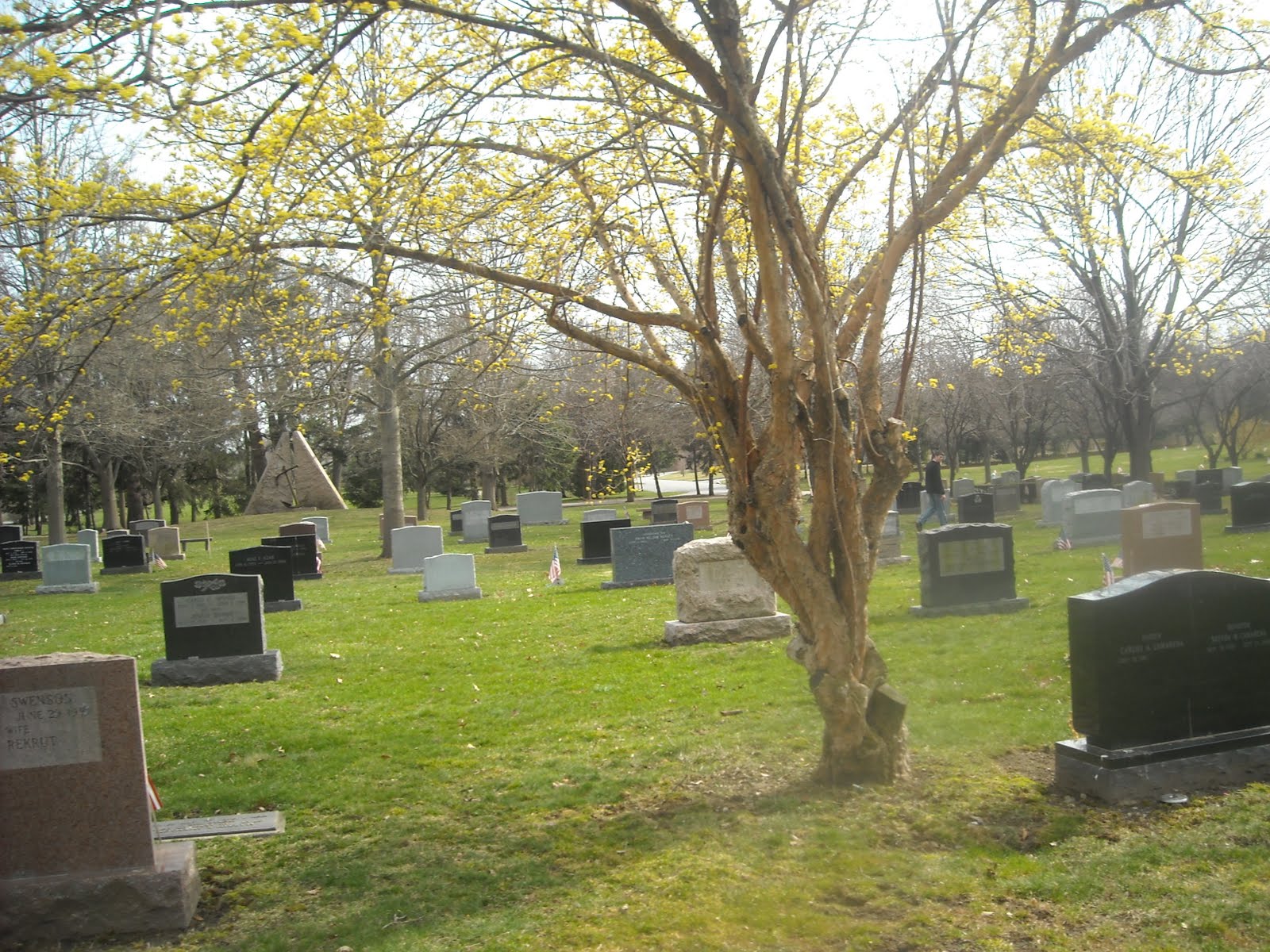 The Life of Death: Swan Point Cemetery
