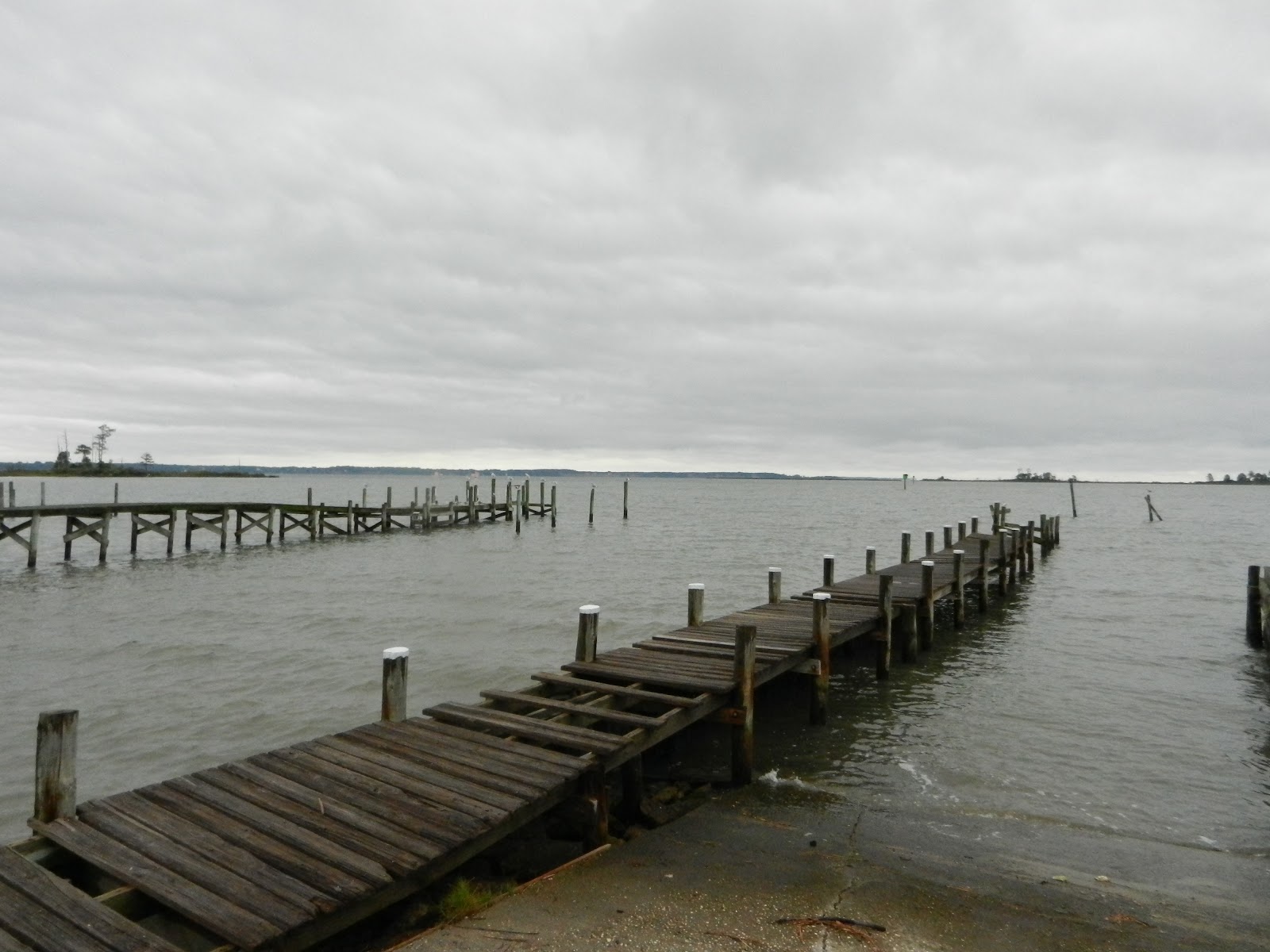 schiller-wine: Rappahannock Oyster Bar at Union Station – Virginia ...