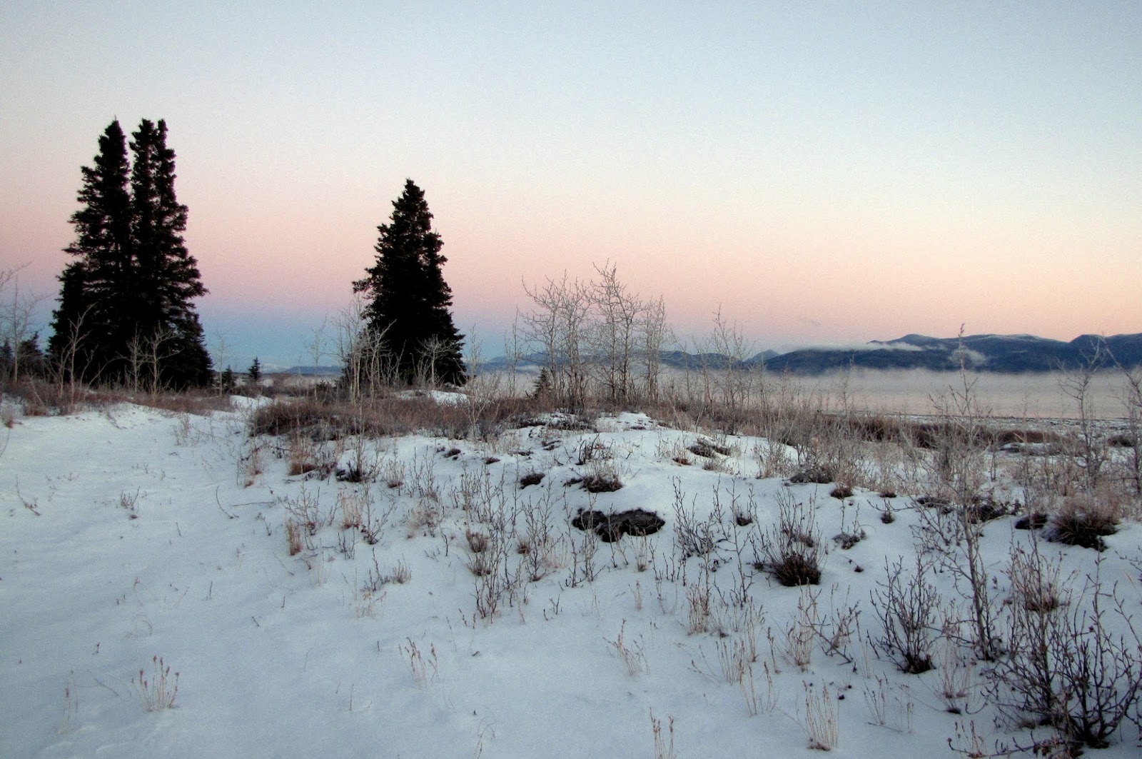 Letting in the Light: End of Fall . . . . Beginning of Winter