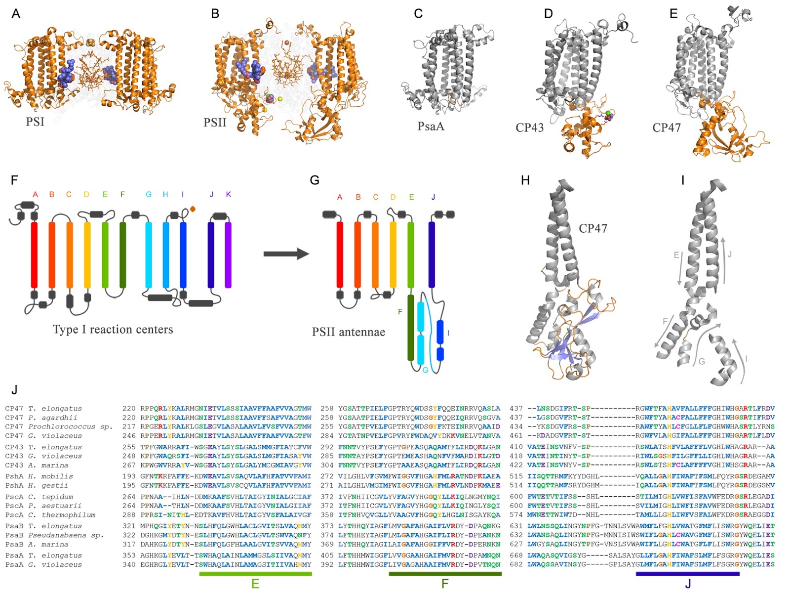 Tanai's Science Blog: Reconstructing the origin of oxygenic photosynthesis