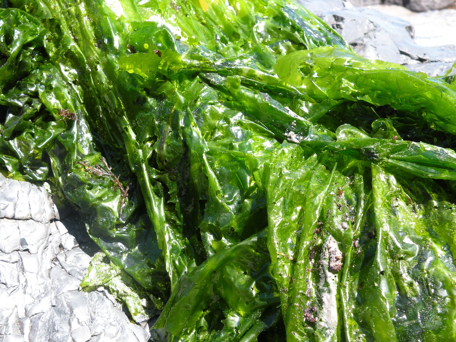 farmlass: From the depths...