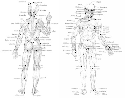 MASSAGGIO AYURVEDICO SIDDHABYANGAM by Massimo Capuano