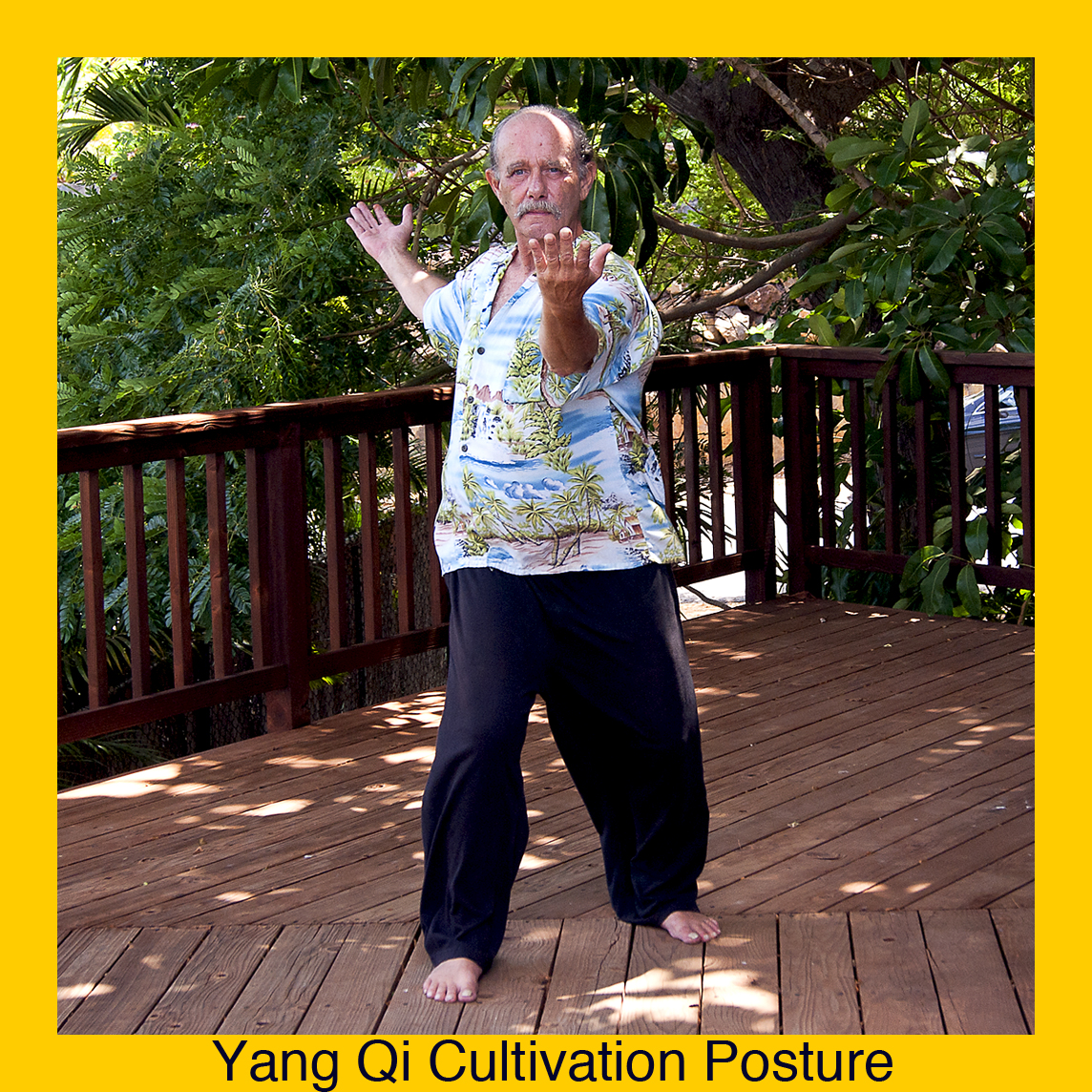 Nine Heaven Chi Gung Clinic - Maui: CULTIVATING YIN QI