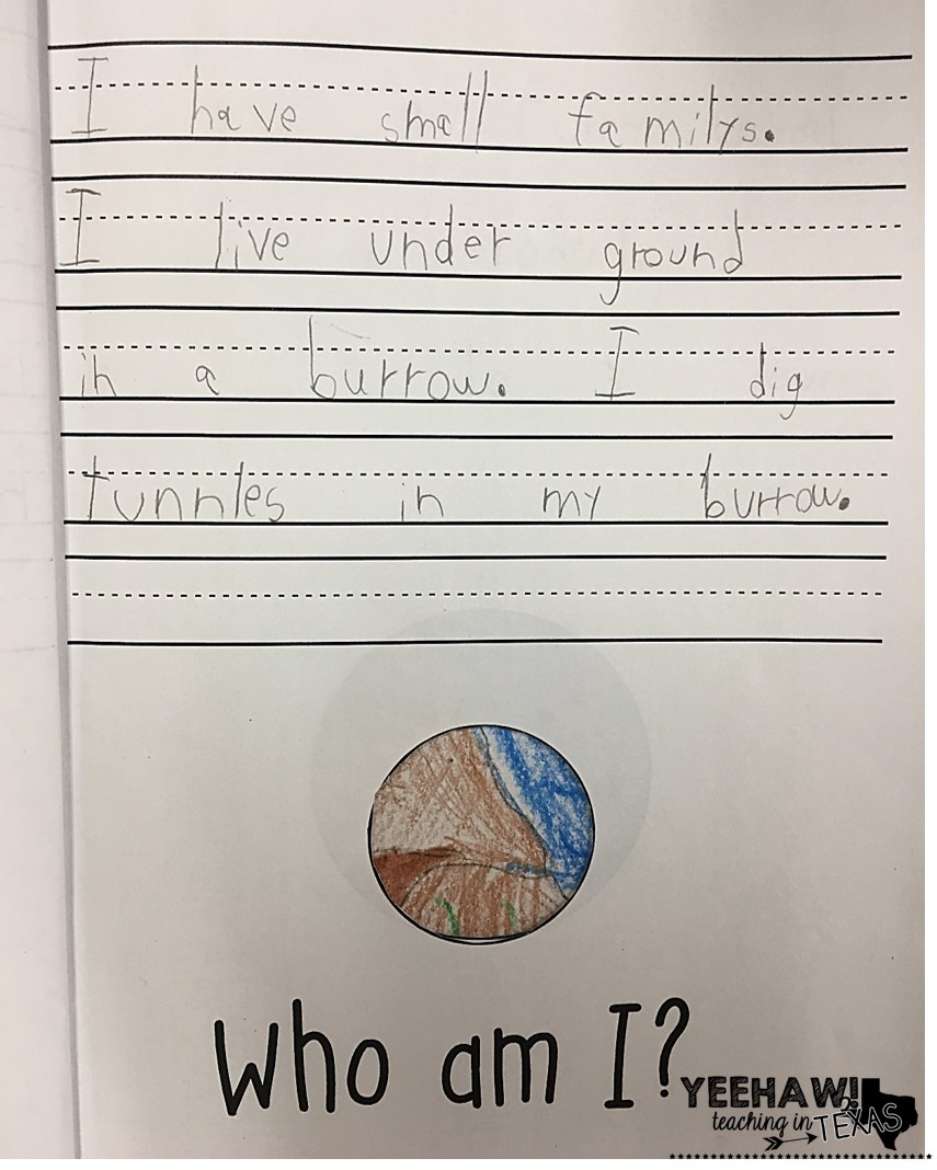 EASY Animal Research Project - Sarah Chesworth