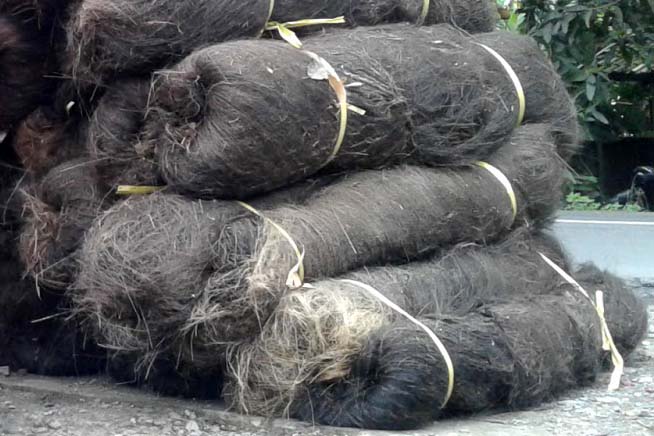 Penutup Atap Ijuk dan Daun-daunan | Materialpilihanku