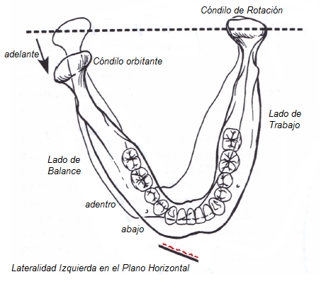 Oclusión en Odontología: Cinemática Mandibular