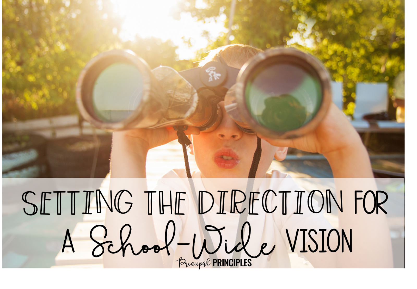 Principal as Instructional Leader - Stephanie McConnell/Principal ...