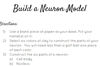 Activities for the Psychology Classroom: Build a Neuron | Kovescence of ...