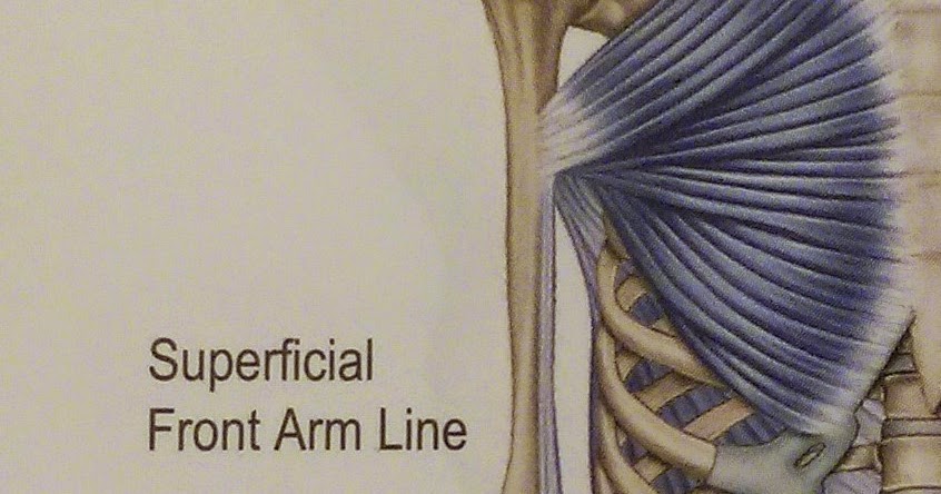 Balance: 6. The Superficial Front Arm Line