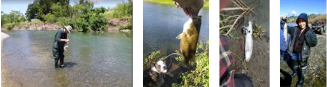 April 2020 Lake Sonoma Fishing Map, Report plus Sonoma Hunting Clubs ...