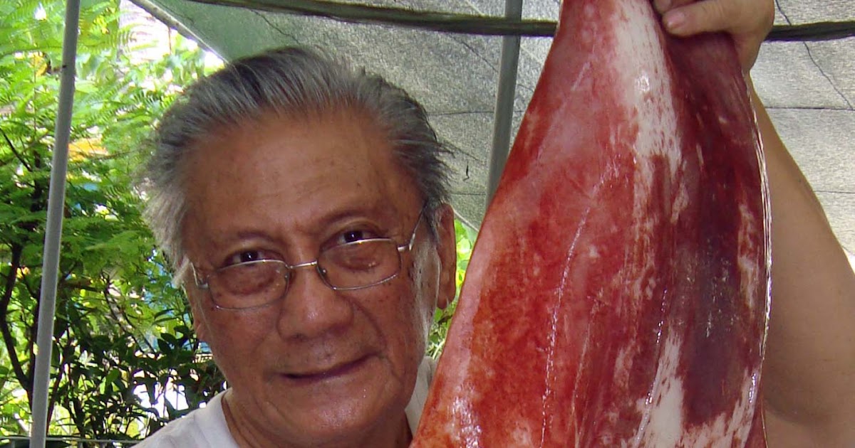 Naturalist's World - Dr Abe V Rotor : Is the KRAKEN - colossal squid or ...