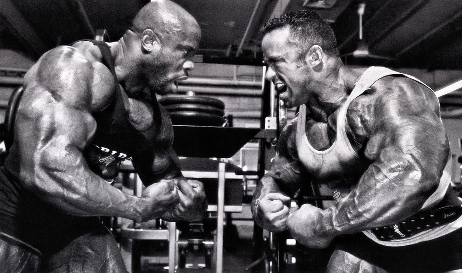 LA PERFECTION FAITE HOMME: KEVIN ENGLISH 01