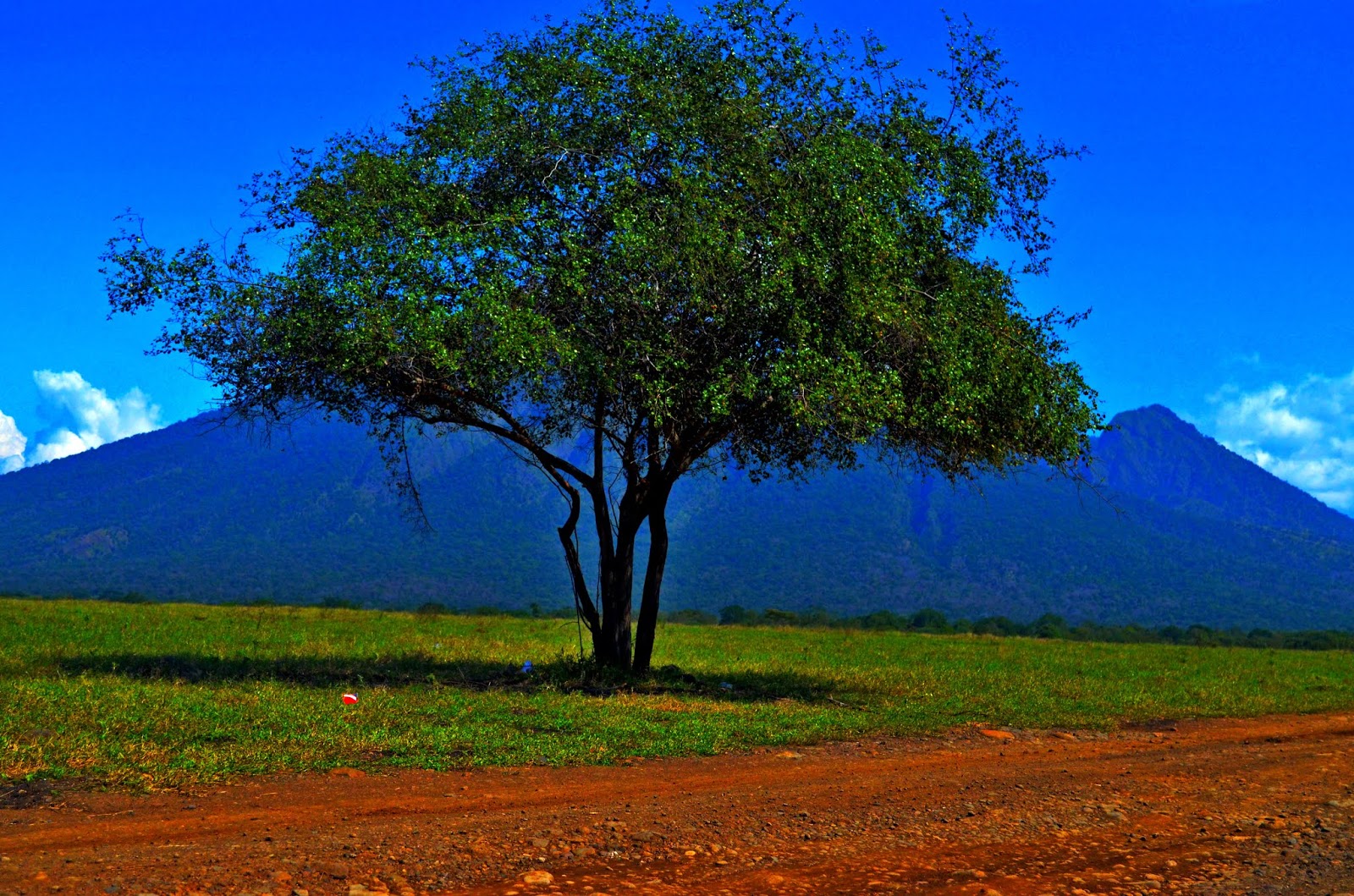 Paket Wisata Pendakian, Pilihan Savana dan Sabana Gunung di Indonesia
