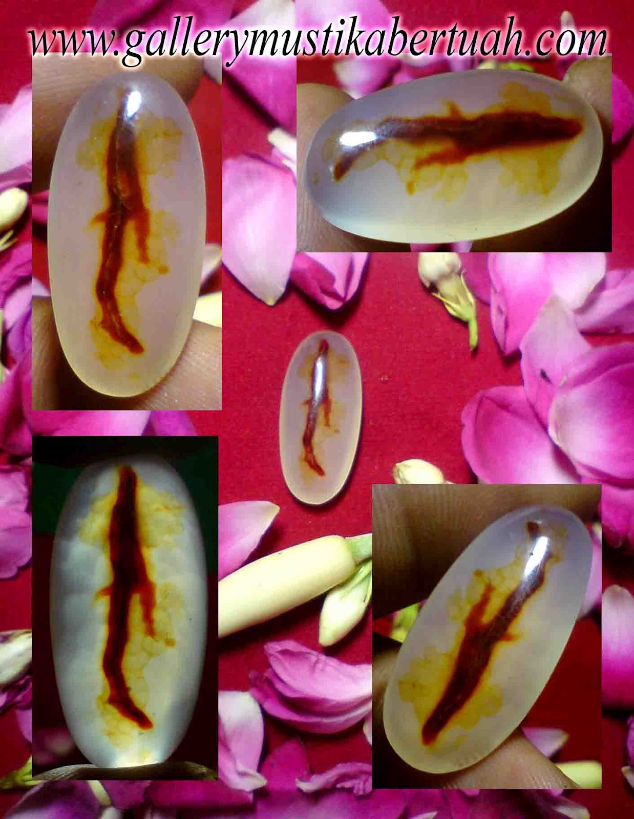 BATU MUSTIKA NAGA SAKTI ASLI: Mustika Pulanggeni