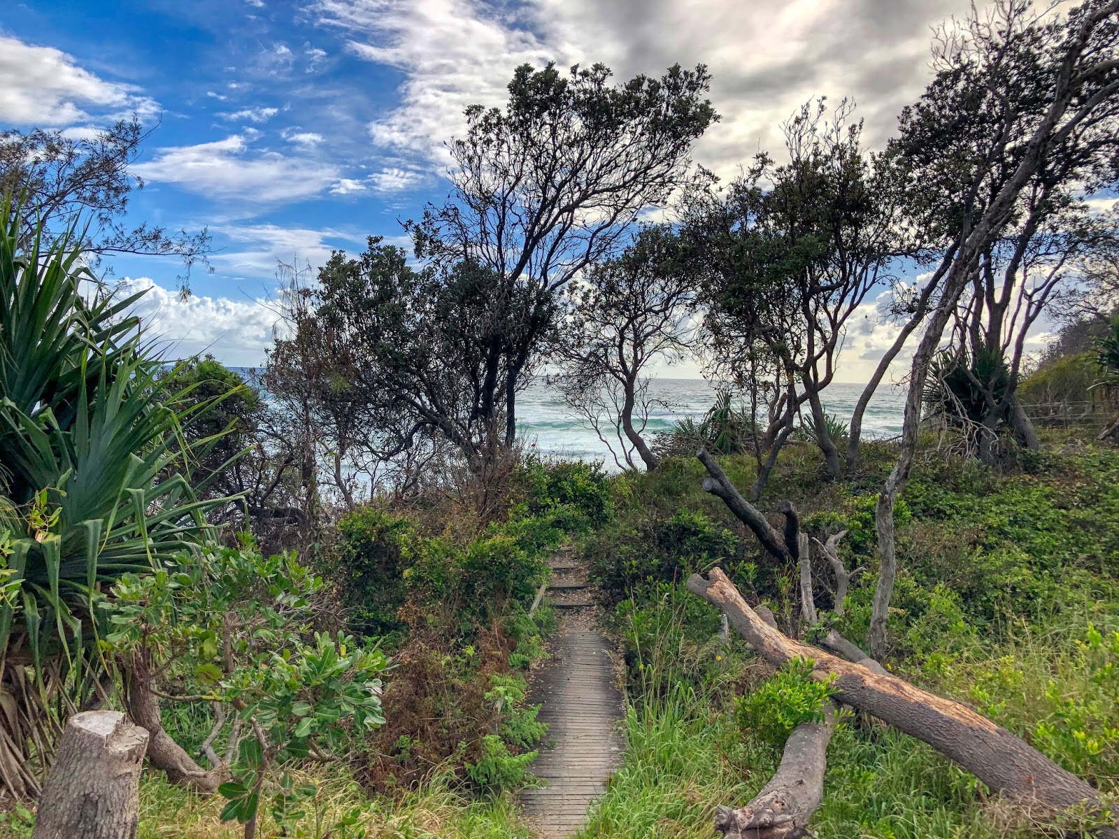 Bushtracker Travels RosnRoss: Yuraygir National Park - Illaroo Campground