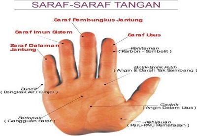 ALAMIA SPA: ANALISA TAPAK TANGAN