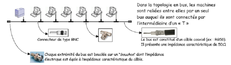 Réseaux et Sécurité Informatique: Les Topologies physiques et logiques