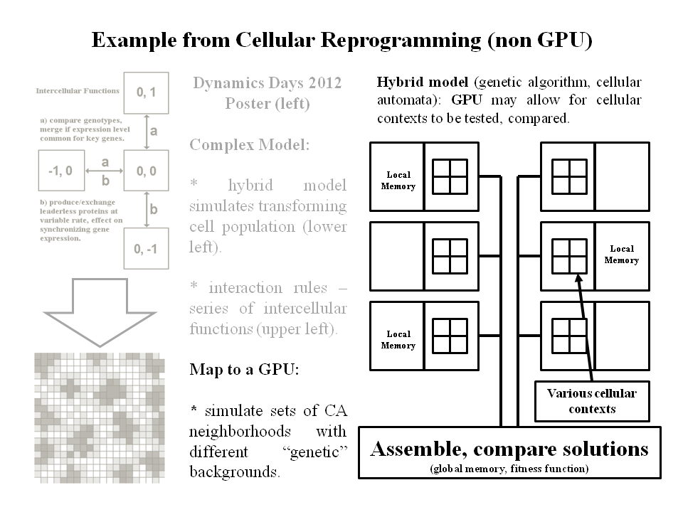 Synthetic Daisies: Scenes from a graphical, parallel biology (Presentation)