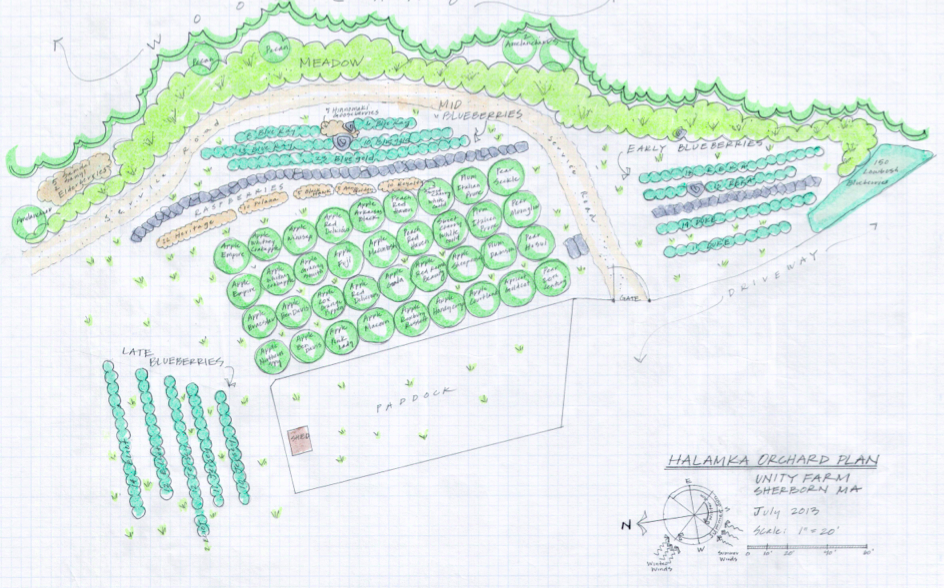 Dispatch from the Digital Health Frontier: Building Unity Farm ...