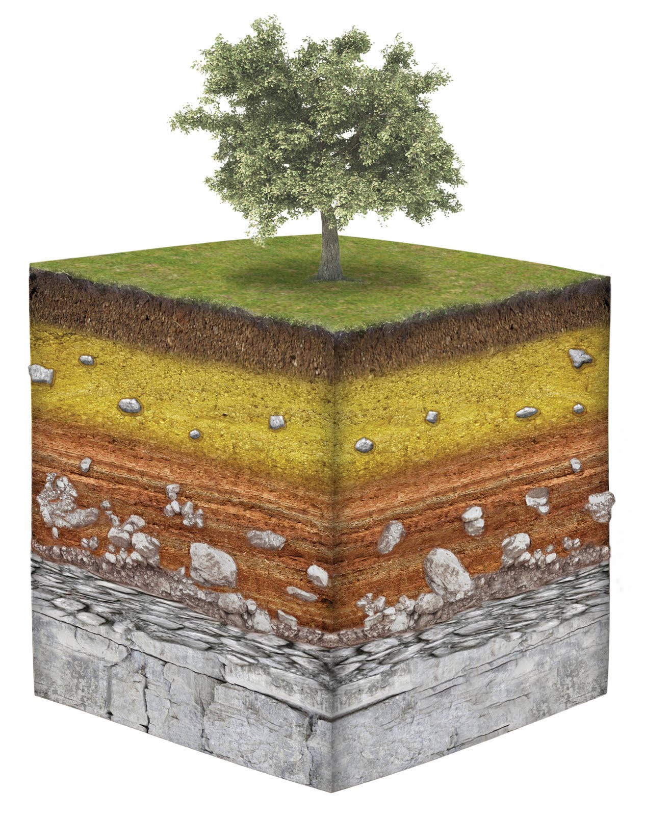 AB Vetor: Esquema mostrando camadas de solo