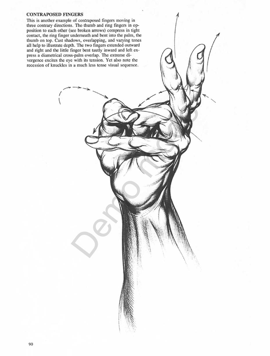 Estúdio Fantasma: Apostila: "Drawing dynamic hands" de Burne Hogarth