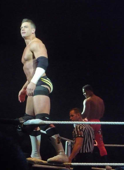 Beefcakes of Wrestling: Beefcakes In Action (WWE in The UK Edition)