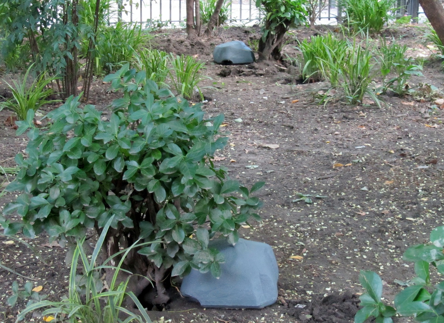 EV Grieve: More rat baiting stations arrive in Tompkins Square Park