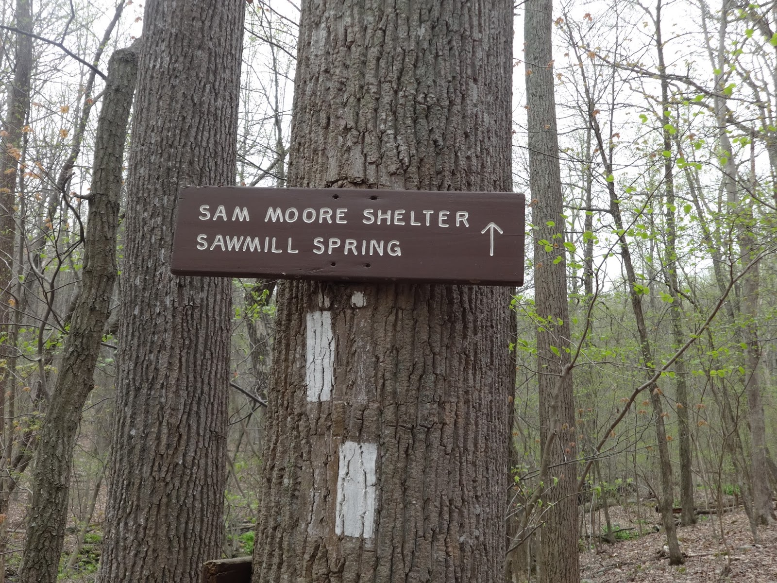 Appalachian Trail Section hiking: Ashby Gap to Snickers Gap