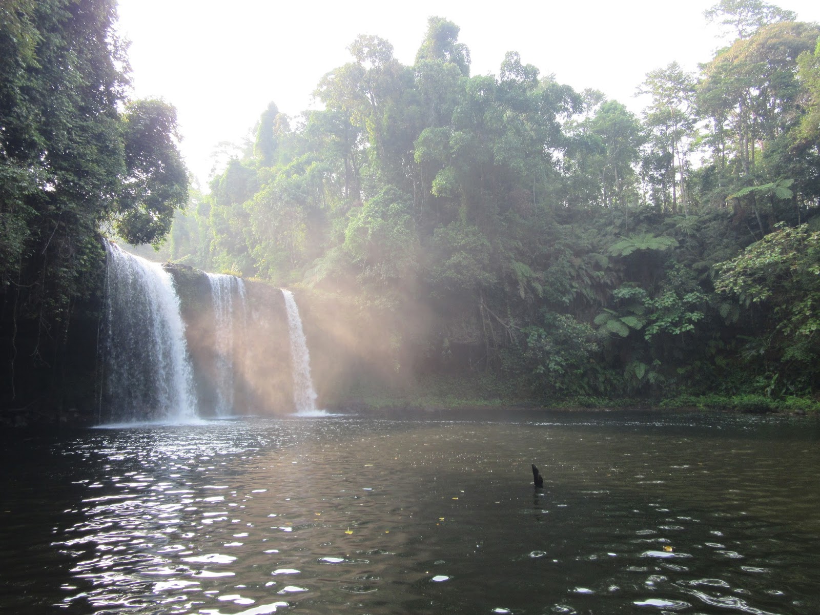 Pakse y The Bolaven Plateau - La Aventura del Dragón