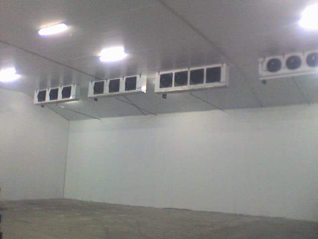 Cold Storage | ABF | Cold Room | 081936999998: Cold Storage atau Gudang ...
